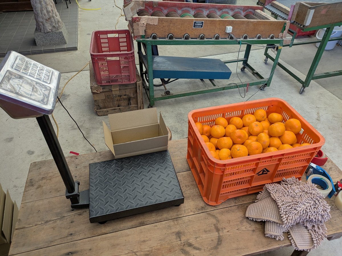 【再び和歌山県田辺市へ】リアル農業体験で感じたこと｜浅野紘毅/Asano.Hiroki