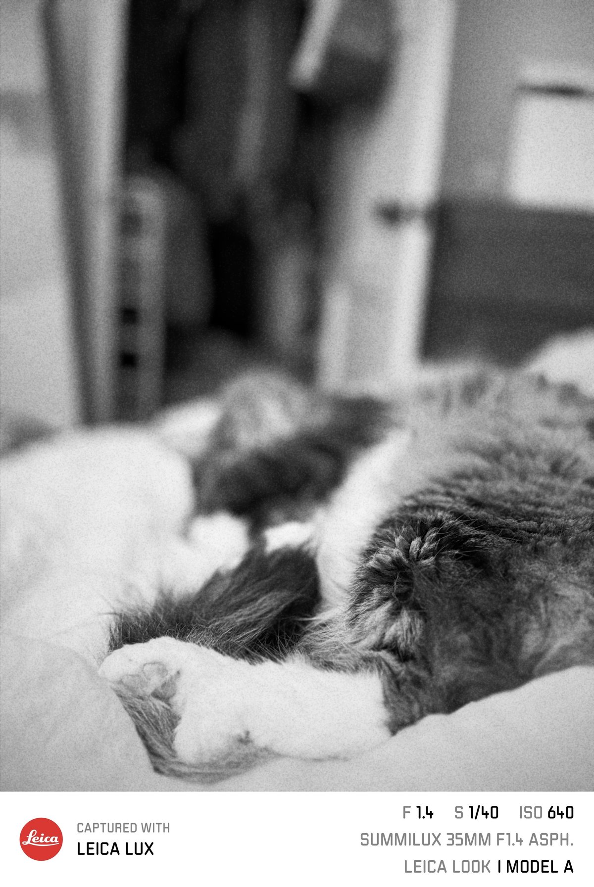Leica LUX｜helloryuji