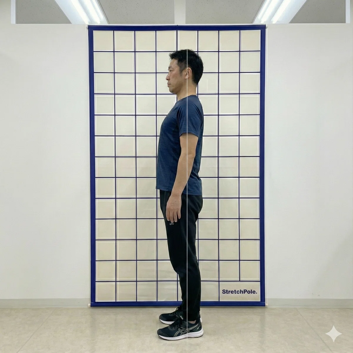 [Kendall's Posture Classification] Ideal Alignment and the Four Types ...