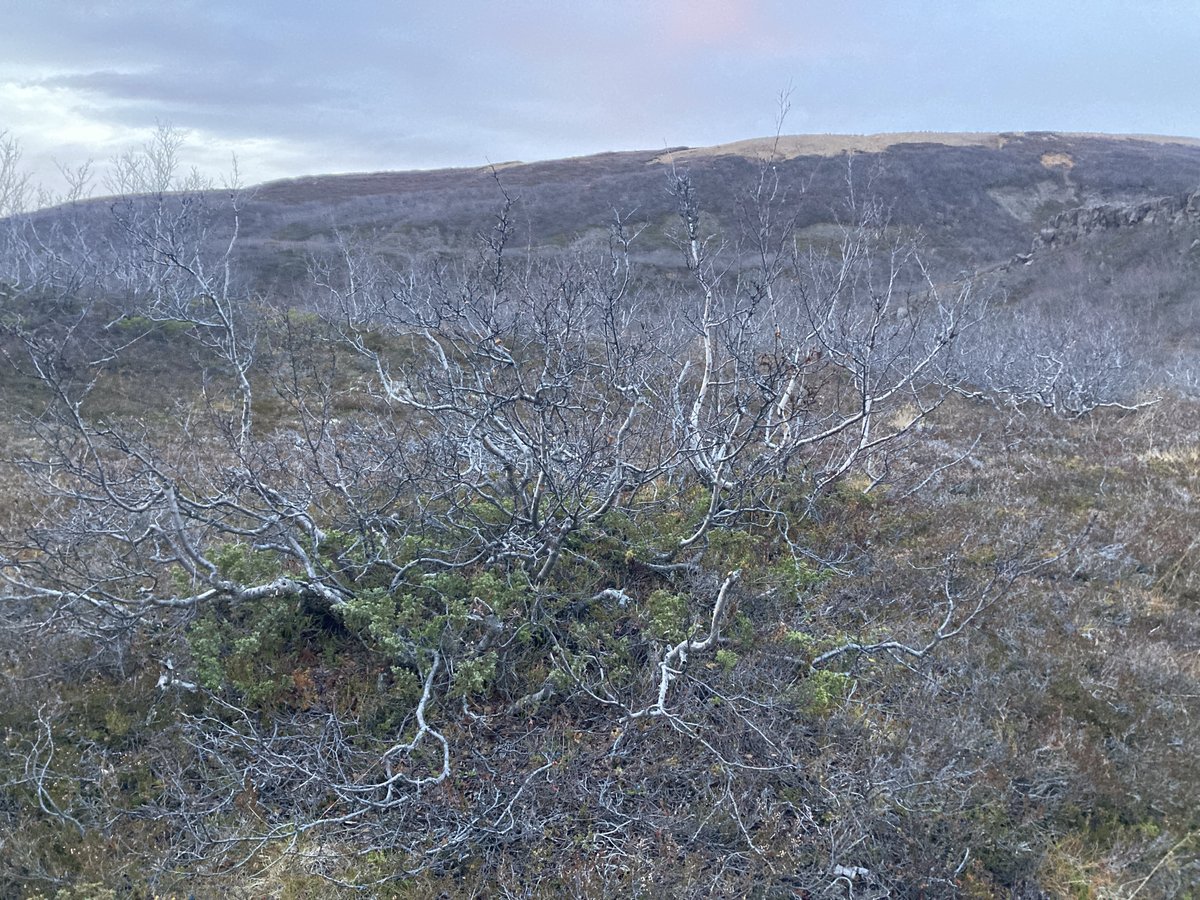 秋。褪せる色に停める。｜朱位 昌併（AKAKURA Shohei）