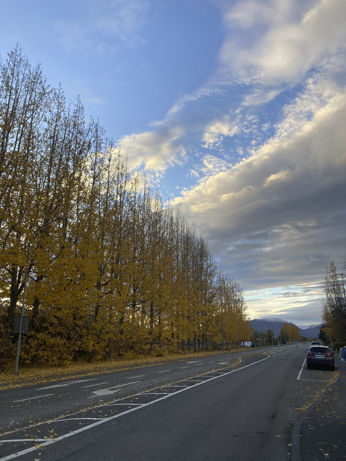 秋。褪せる色に停める。｜朱位 昌併（AKAKURA Shohei）