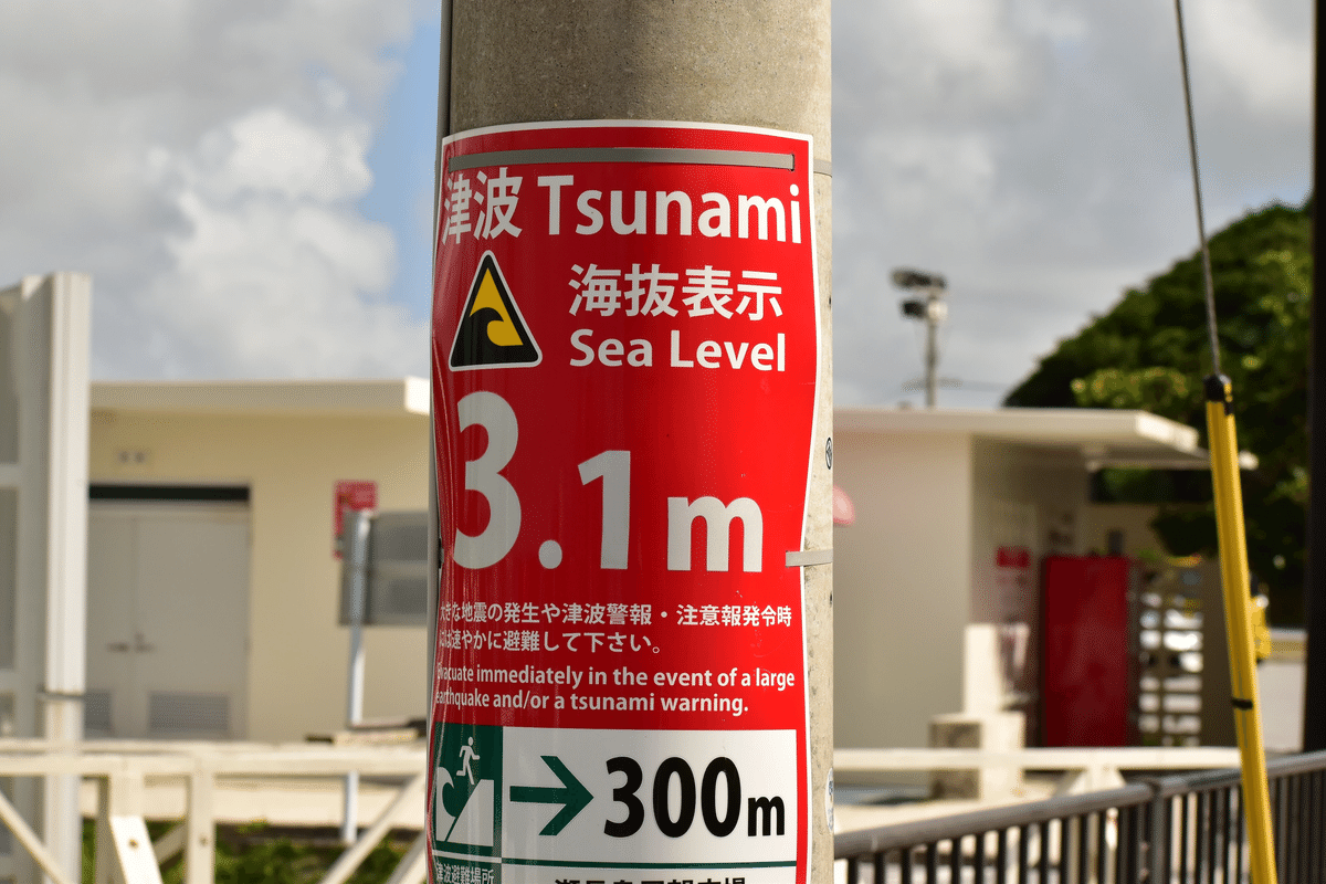 自賛作が初めてダウンロードされました｜沖縄散歩人