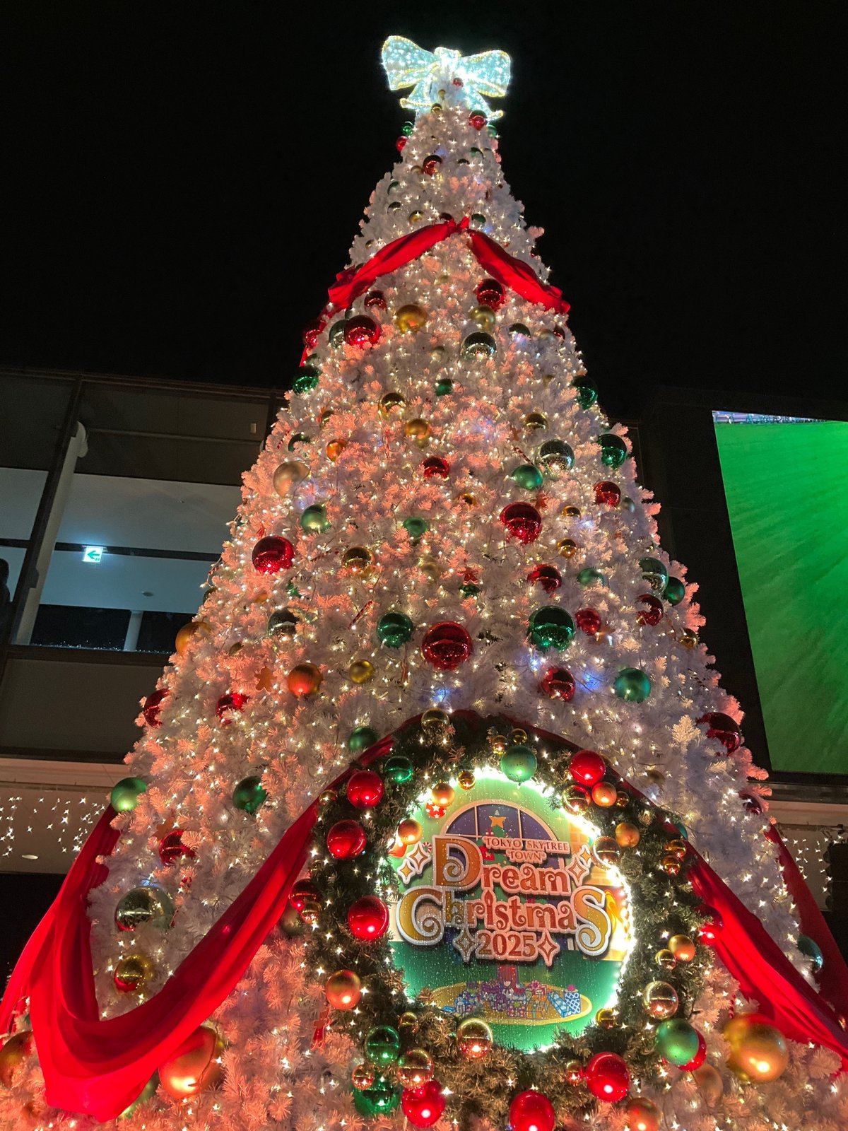 イルミネーションを見に。｜Neko