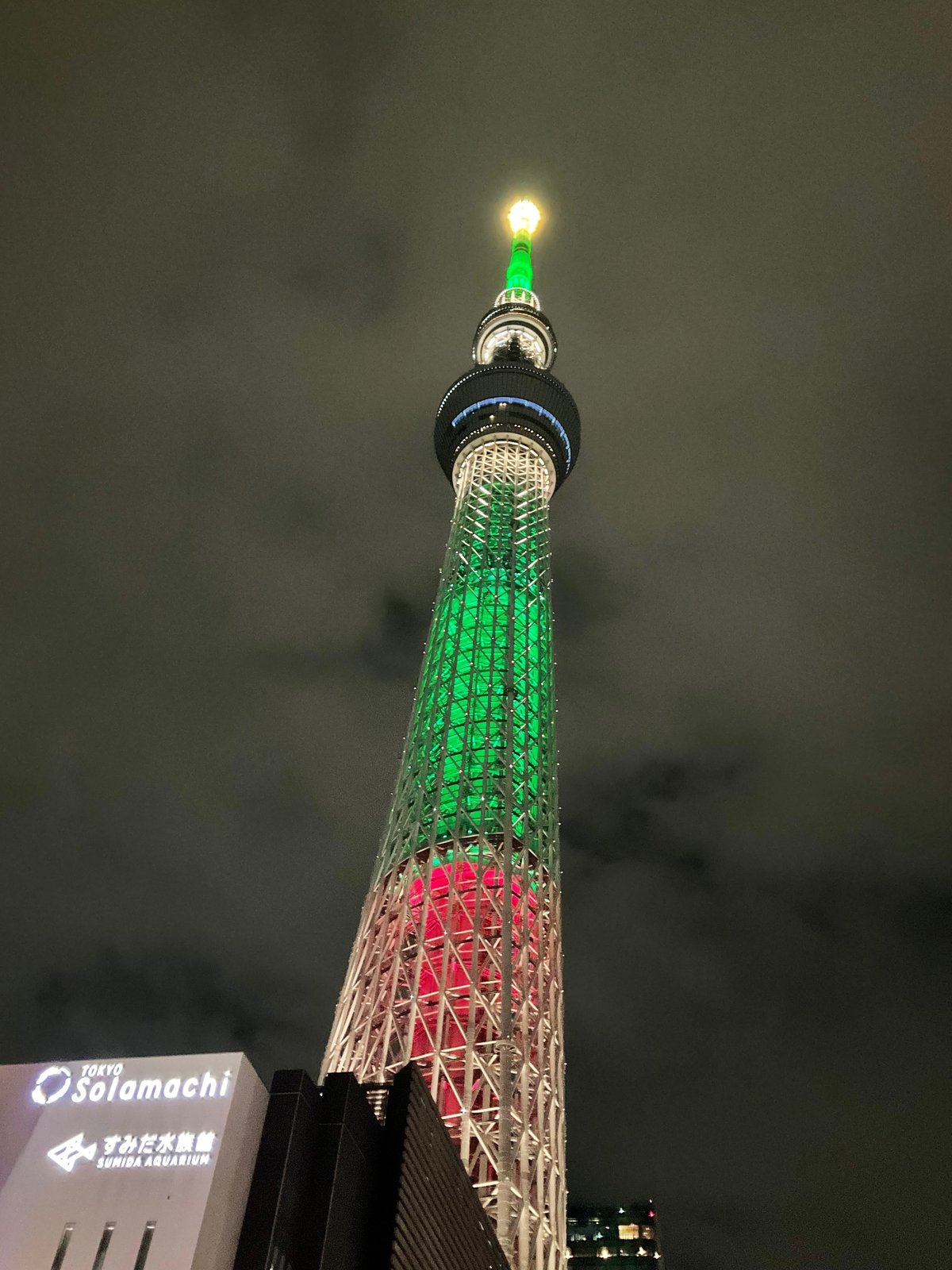 イルミネーションを見に。｜Neko