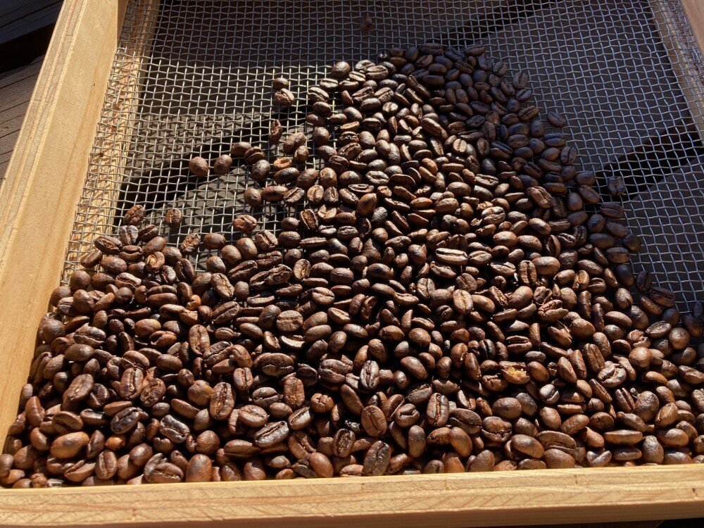 珈琲焙煎 57回目 インドネシア マンデリン G1｜Fire-Shirousa