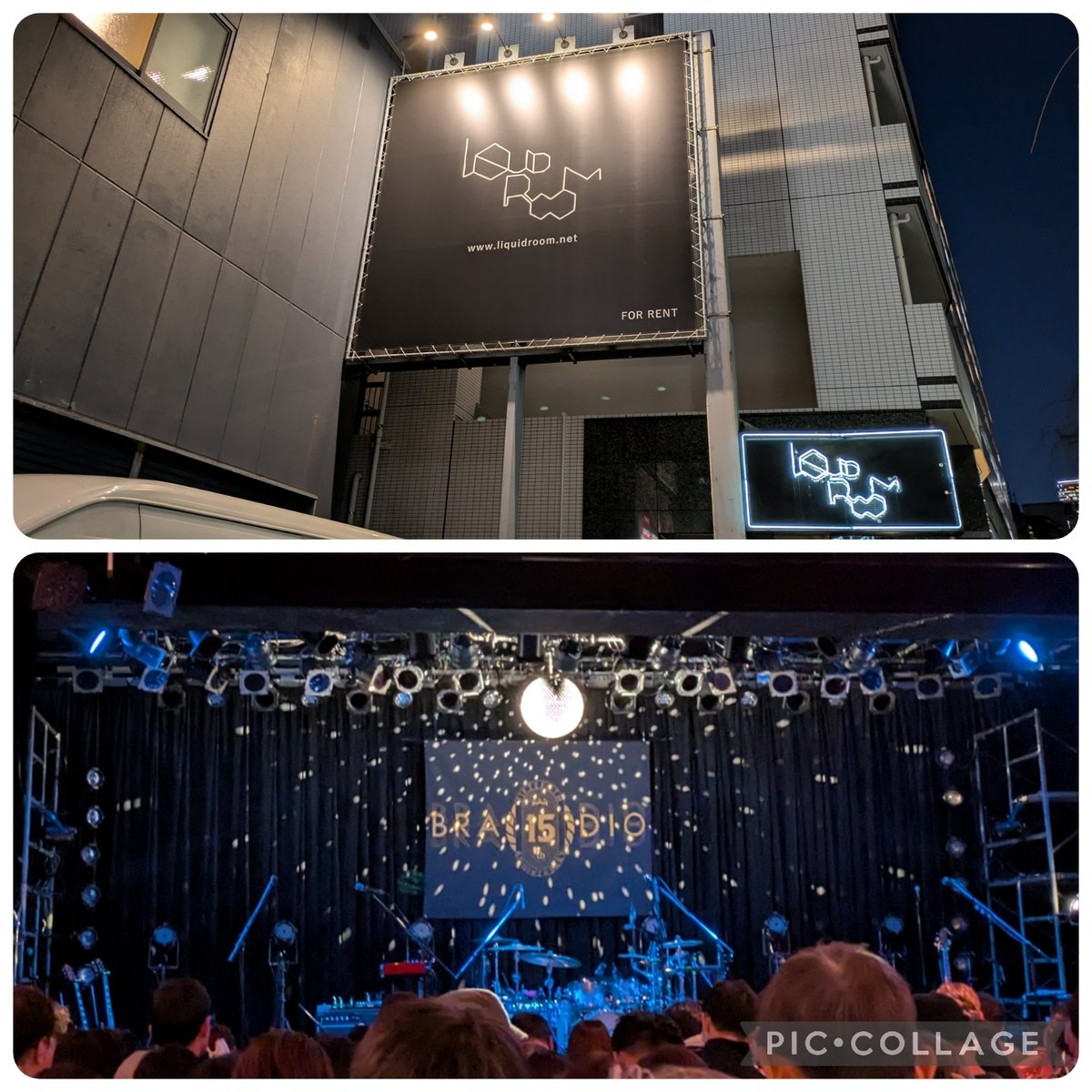 12月12日｜わたこ