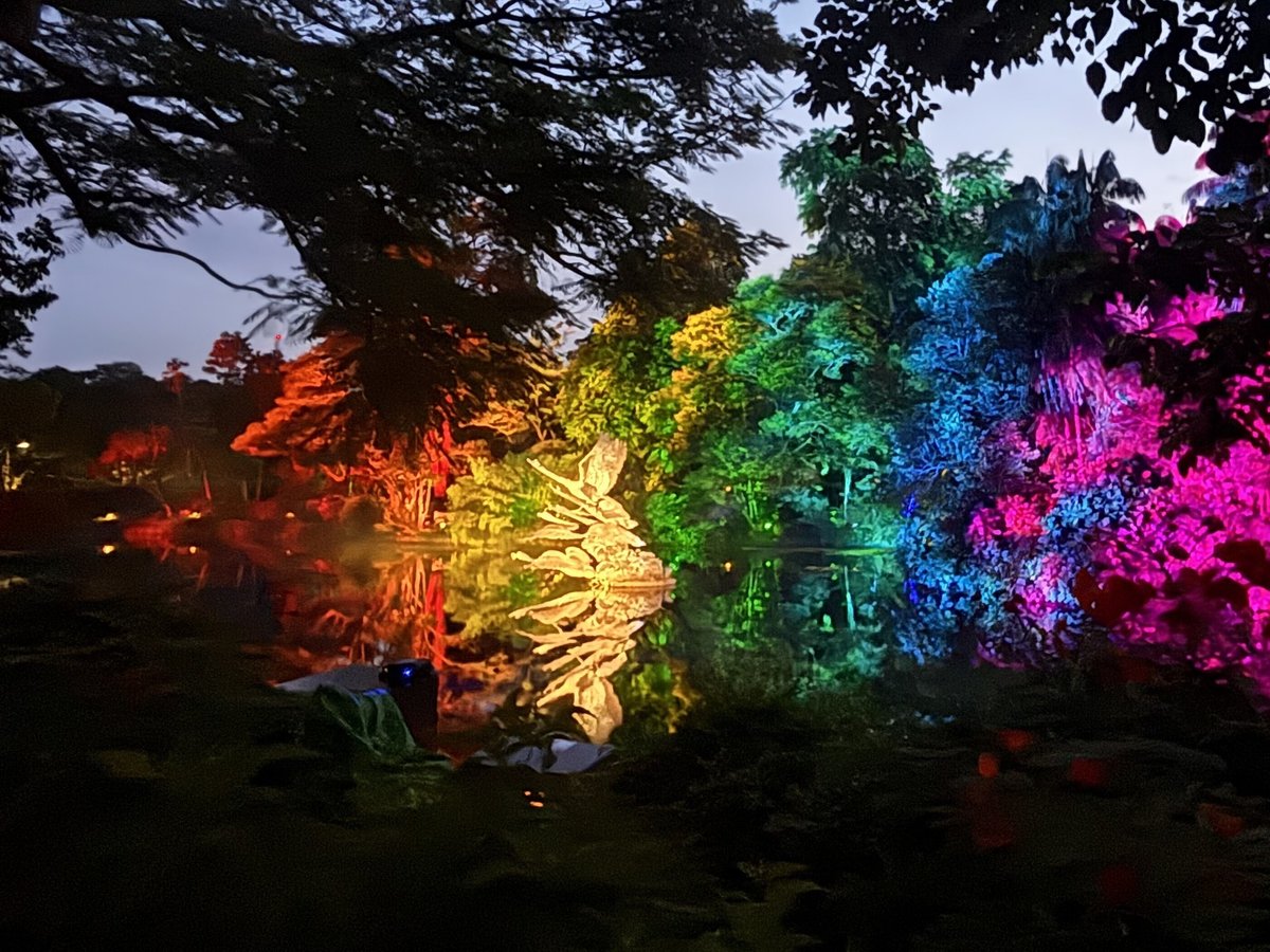 【旅の記録・🇸🇬】シンガポール、自然を巡る編①｜ばなななこ