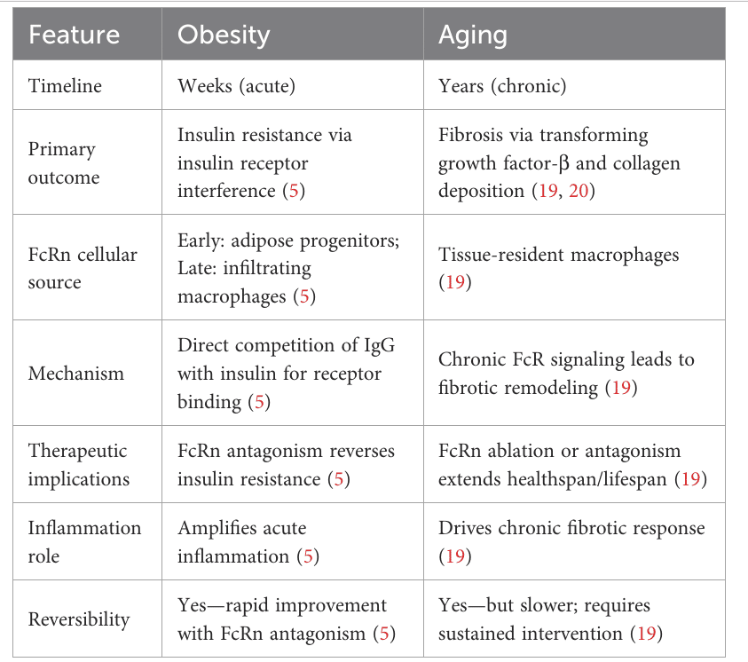 IgGを介した免疫代謝機能障害の時間的ダイナミクス：急性肥満から慢性老化まで｜カイン