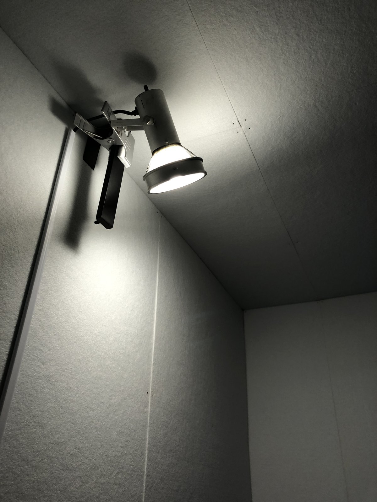 DIYのその後。階段下に作ったアイリッシュハープの練習室のいま【2026.1】｜Mithril / Irish Harp