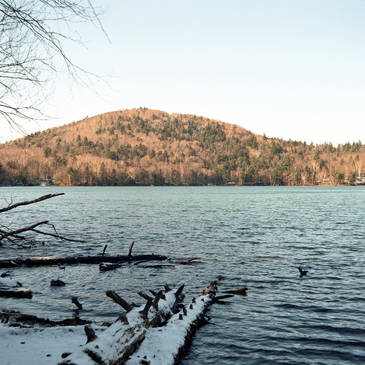 25年11月 道東 ペルケオI｜robert_oku