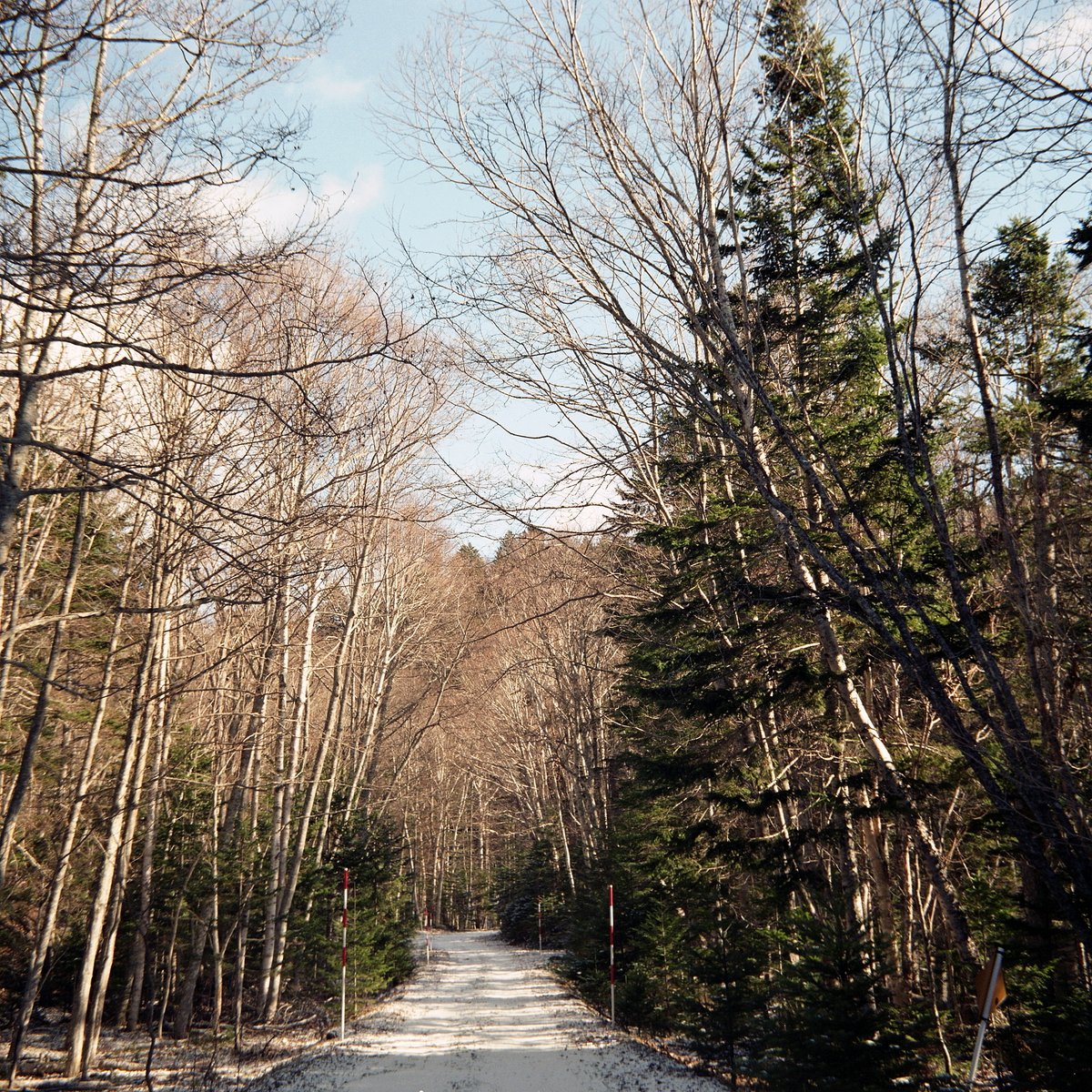 25年11月 道東 ペルケオI｜robert_oku