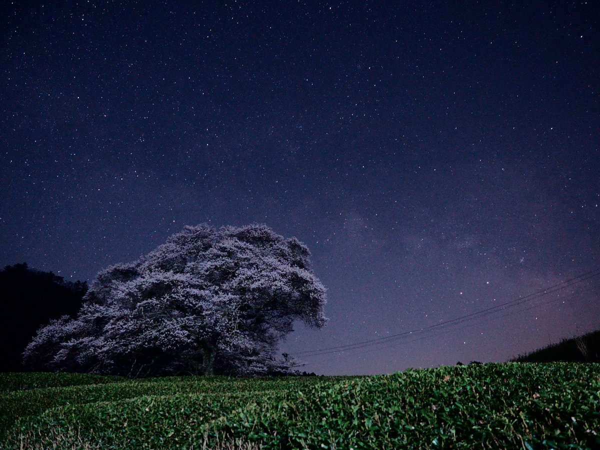 軽やかな相棒と巡る、記憶に残る風景の旅 - atsu_. n｜OM SYSTEM