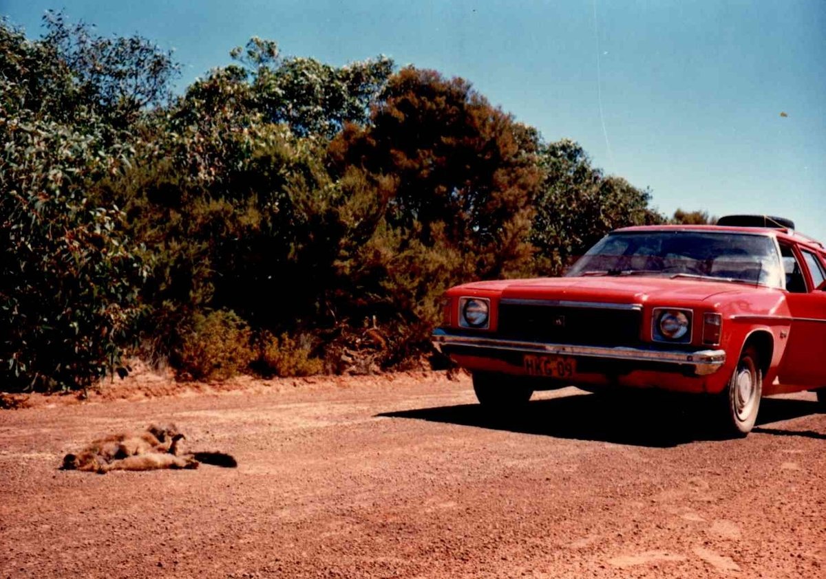 「私家版」 20世紀のオーストラリア・ラウンド記（その5）｜Okuiu tosa