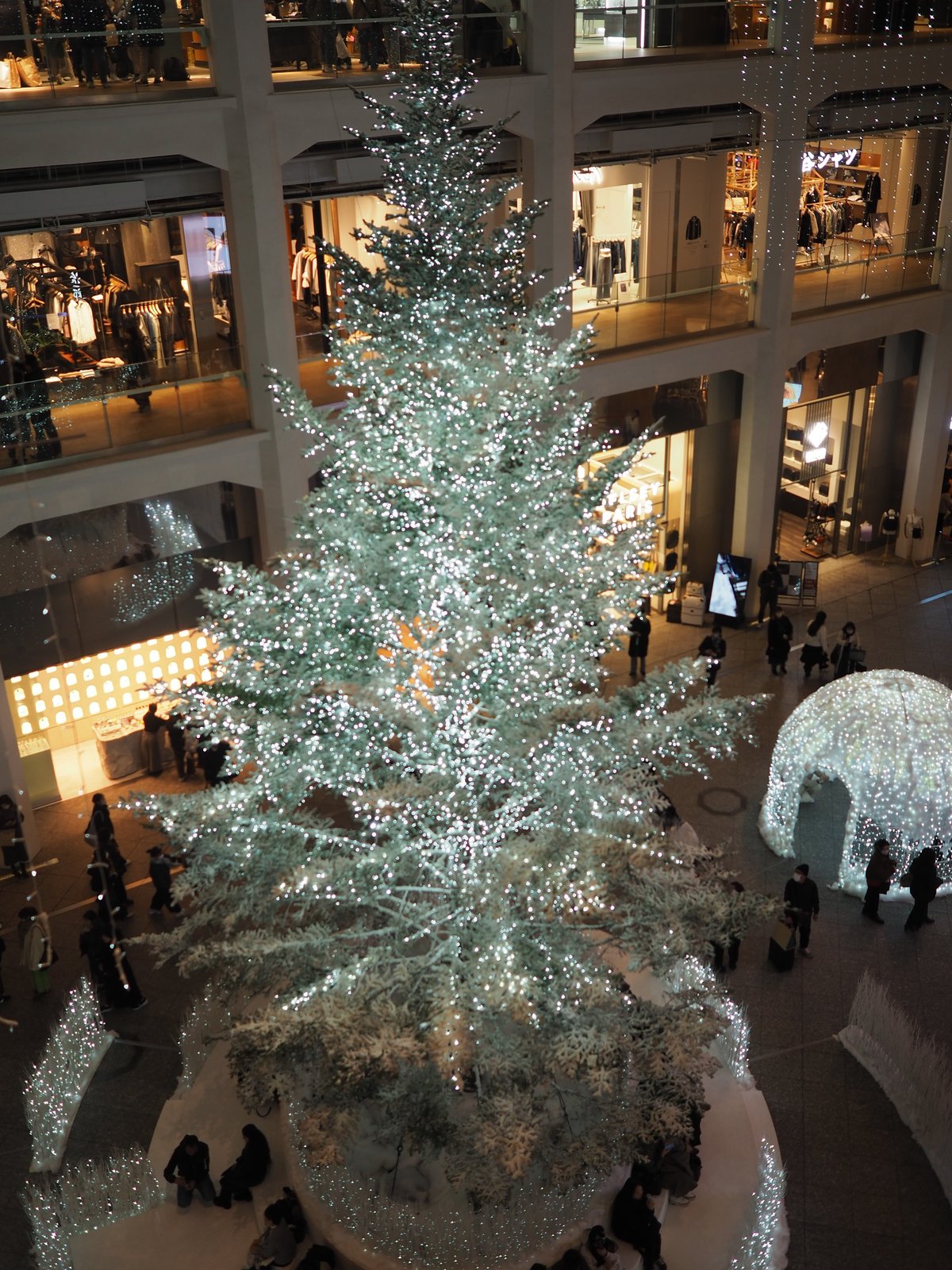 第41話 OM-D E-M10 Mark IIで丸の内再訪とDxOPureRAW｜Yasuhiro Ts