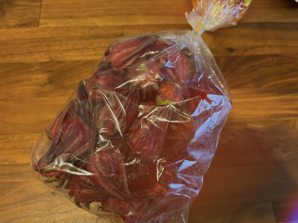 ワンオペの日々、生後100日！お宮参り＆お食い初め（25/12/8~14）｜soda