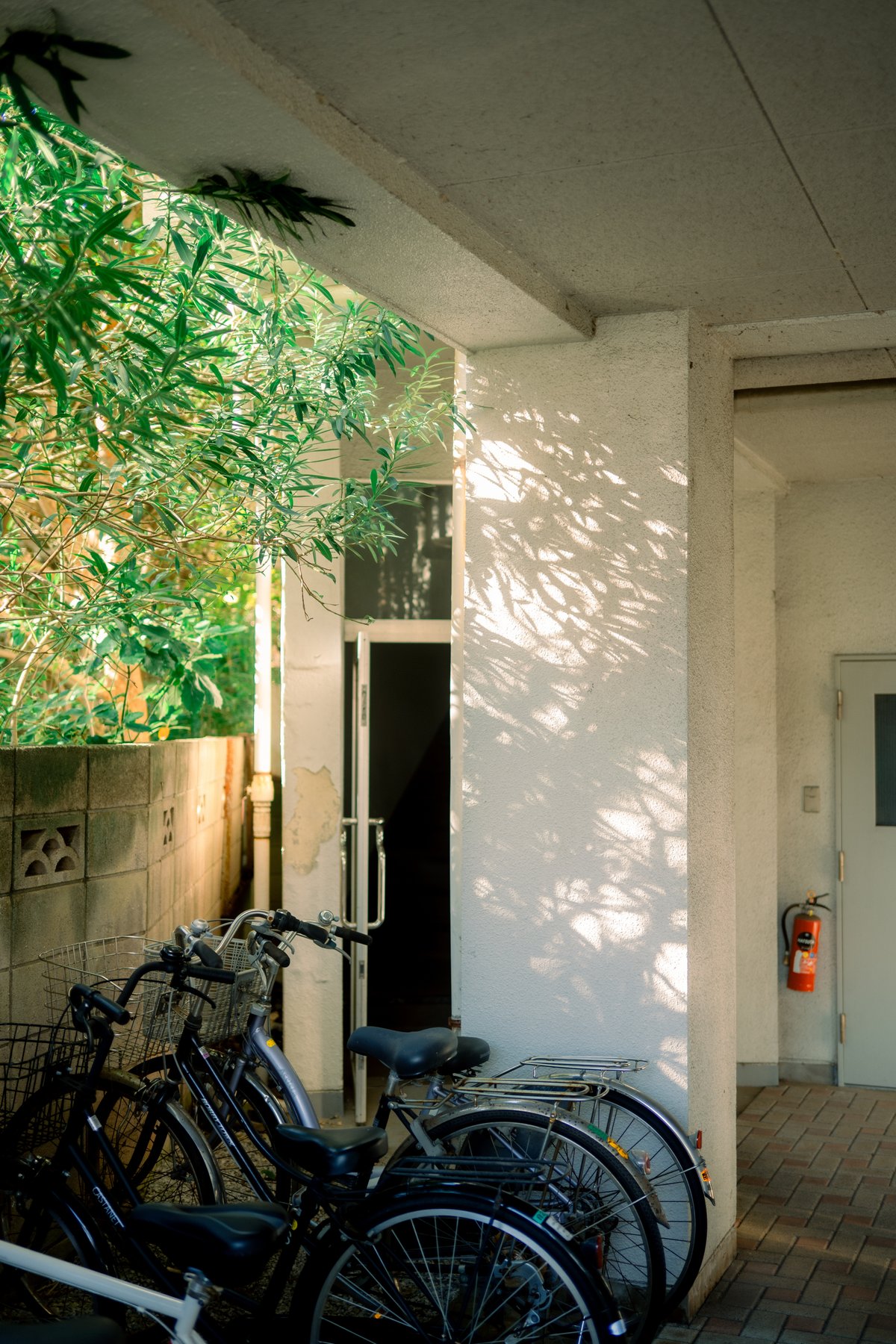 ppp（photo poster project）｜写真を「並べる」だけではない場所で｜恭輔｜Kyosuke Sato