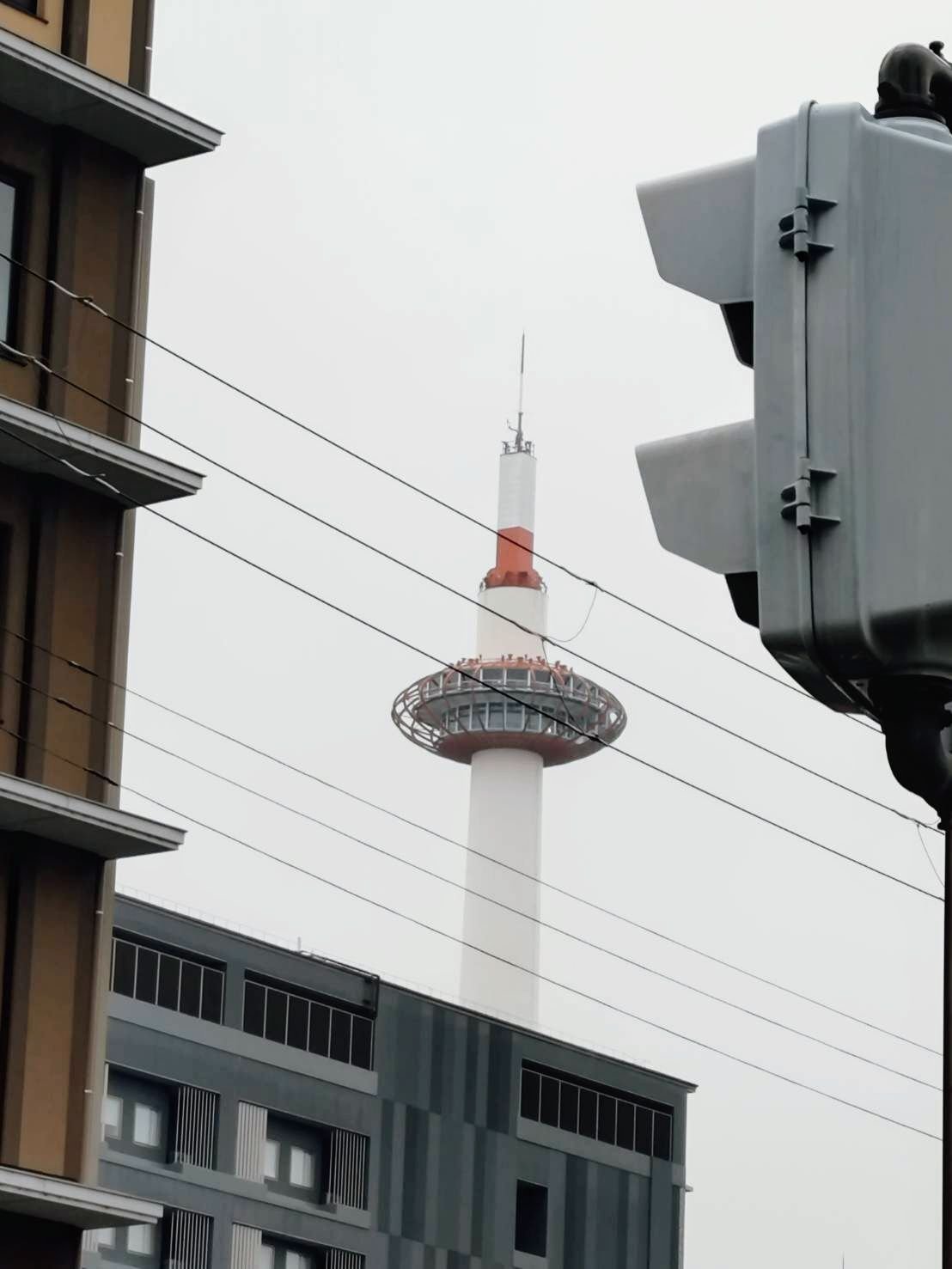 日帰り🚄雨の京都旅☔｜めっこ