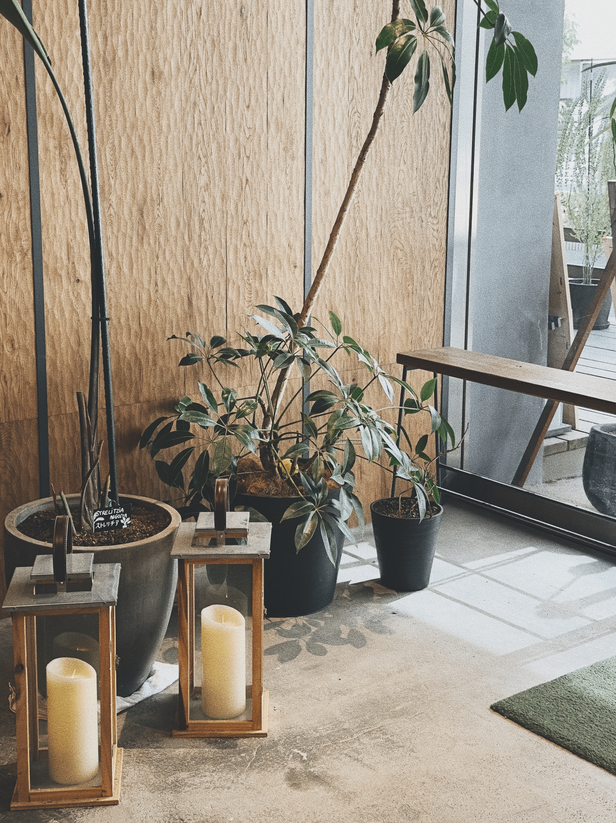 東京下町の日常に入り込む。地域に根ざした「ホステルホテル」HOTEL GRAPHY 根津｜ホテルみるぞー。