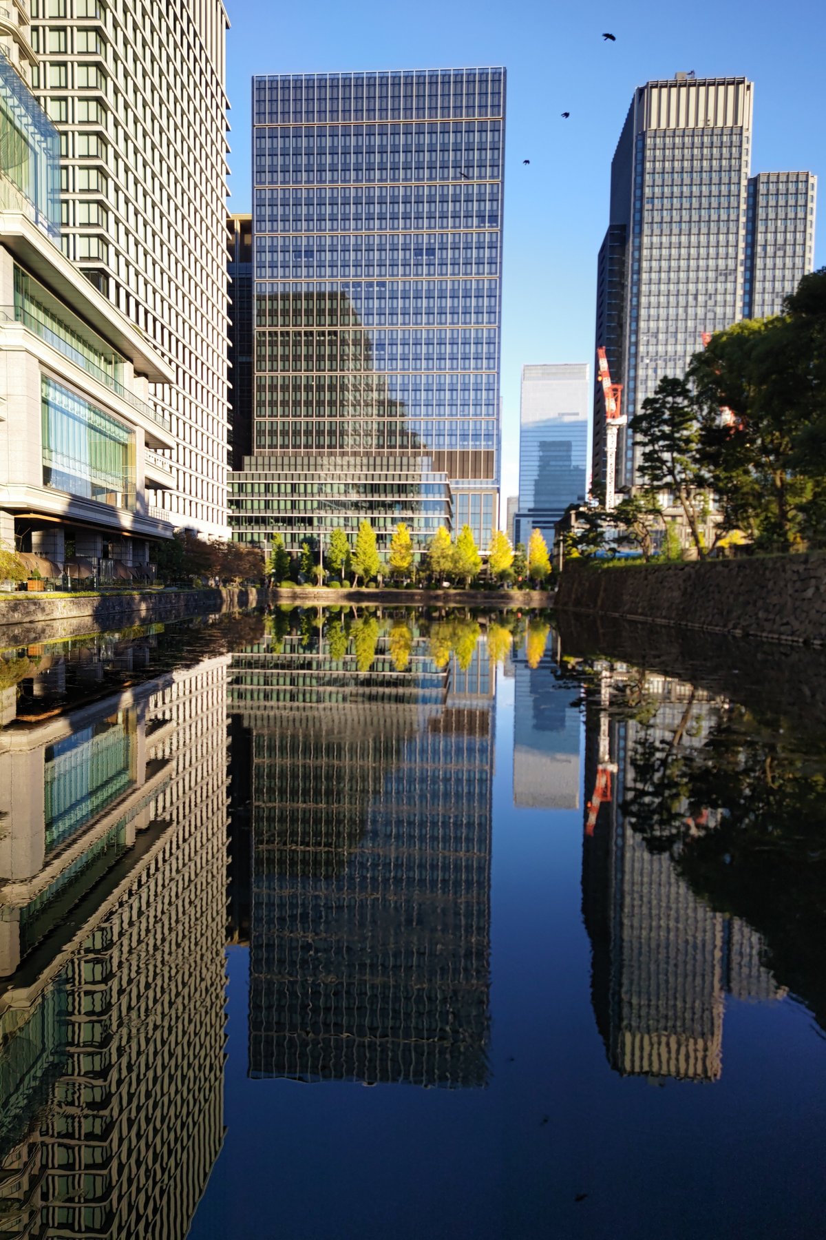 Seeeeyymaの思考部屋へようこそ｜seeeeyymaの思考部屋