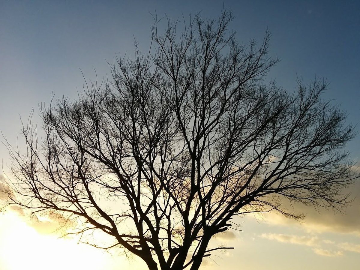 冬至｜反論壇net