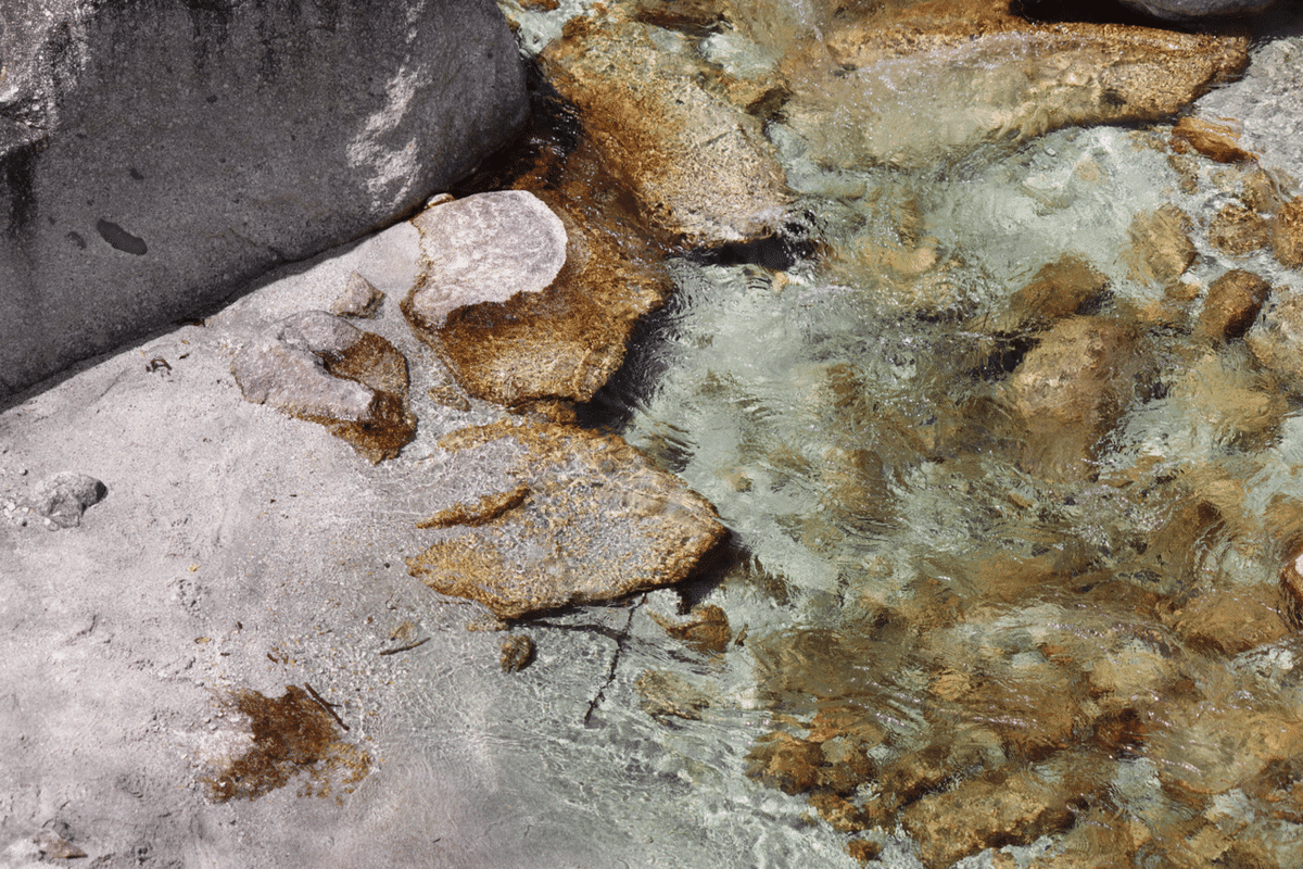 【animism#2】アニミズムって何なのさ？5W1Hで整理（長文7,600文字）｜森の知恵