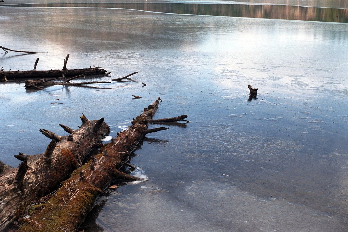 25年11月 道東 スーパージレッテ(1)｜robert_oku