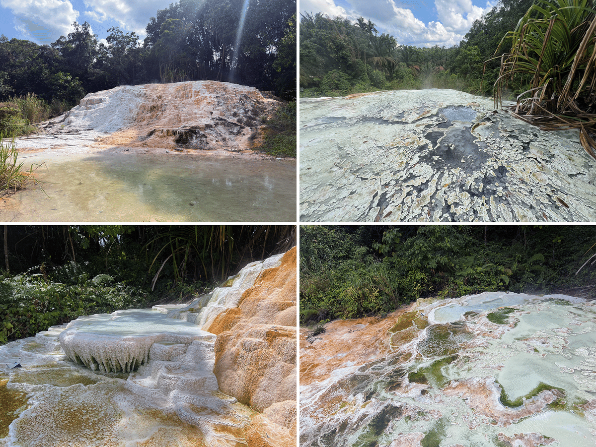 Tinggi Raja｜大森 武