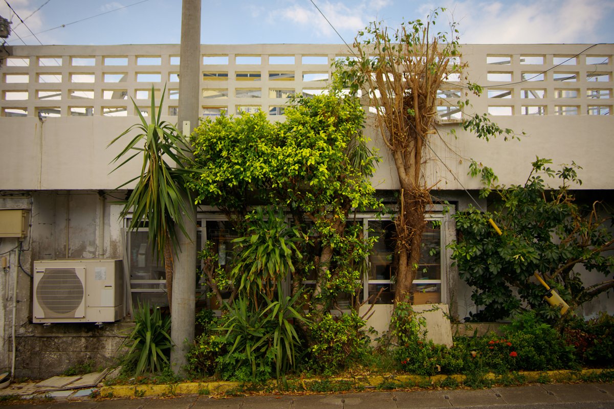 -Lomography-1時間のスナップ ＃4｜Masaki Senko