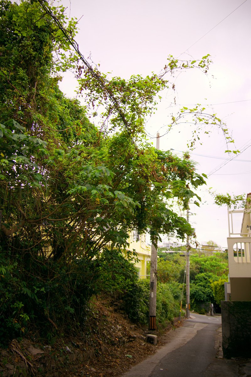 -Lomography-1時間のスナップ ＃4｜Masaki Senko