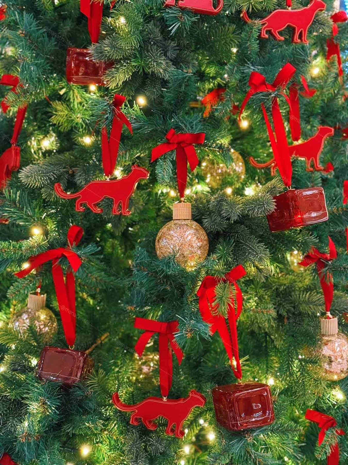 クリスマスの銀座、光のあいだを歩く｜MOMO｜まなち｜ジュエラー・ライター