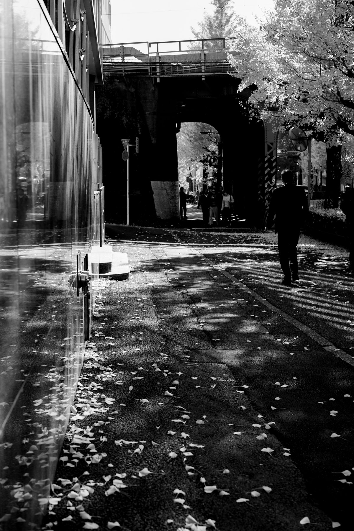 なぜモノクロ写真は心に残るのか？情景スナップで活きる階調表現のコツ｜写真人