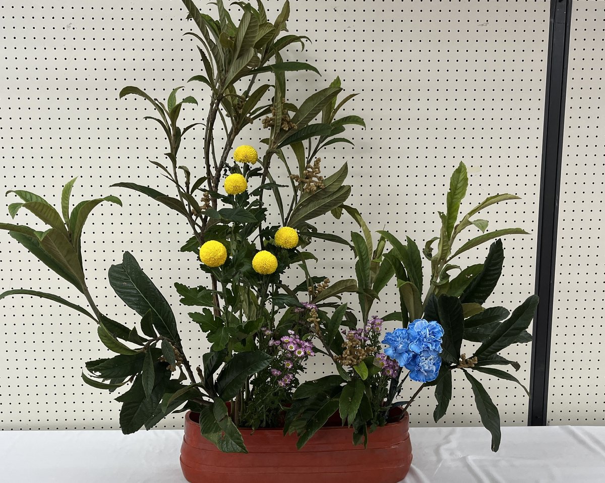 第61回雫石町総合芸術祭 茶華道部参加 R7.11.1(土)・3(祝)｜雫石高等学校