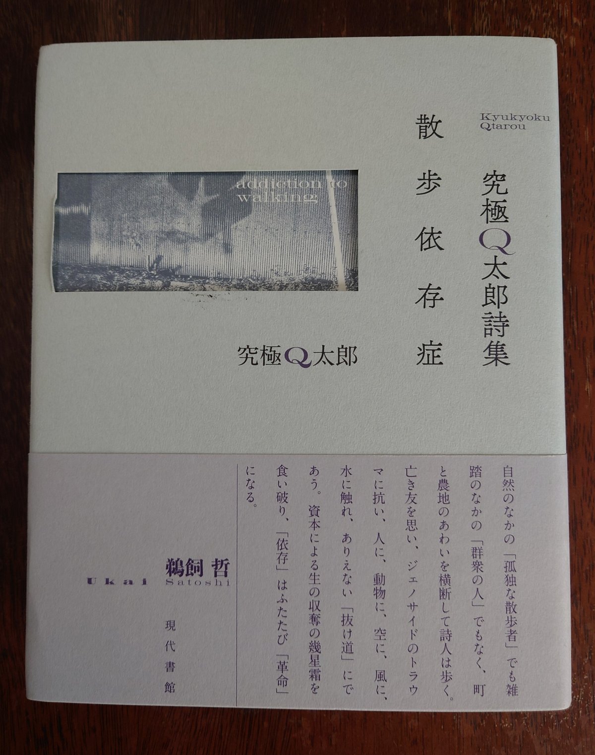 アヒルノイエ漫録 第13回｜boidマガジン