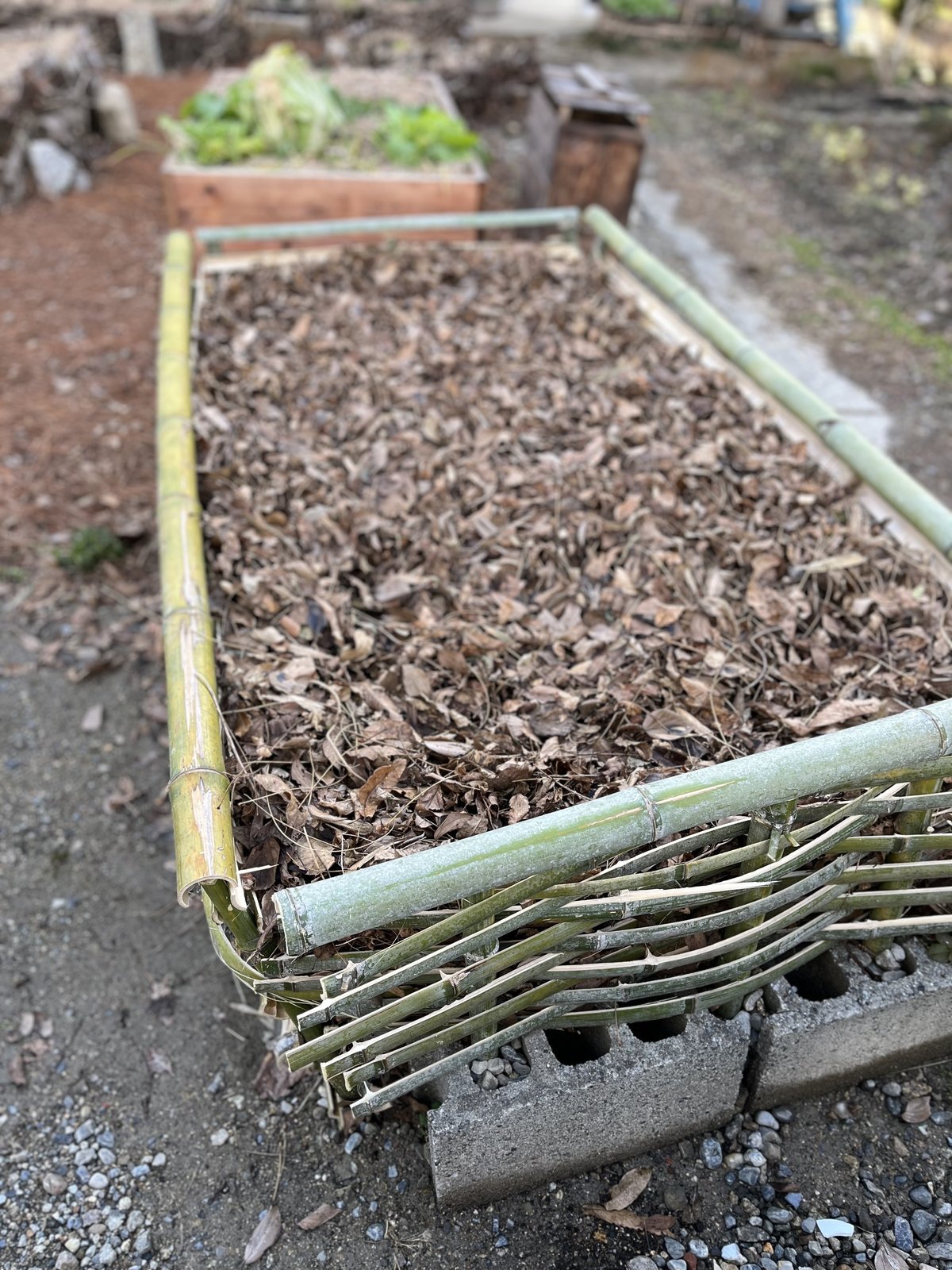 自然農×古琵琶湖層群 vol.45：レイズドベッドの収穫と自然との距離｜デイダラボッチ