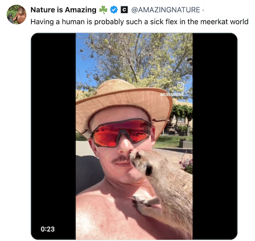 a sick flex｜あい