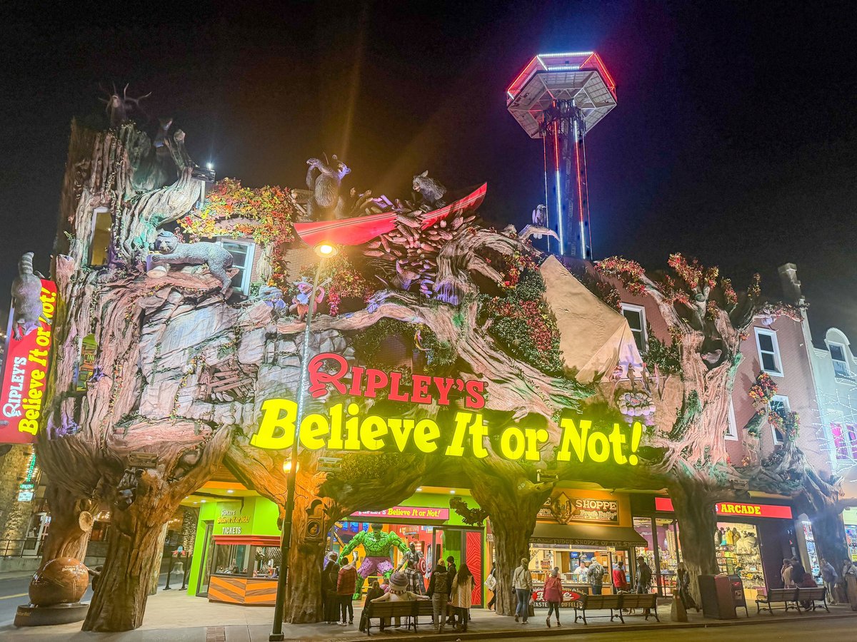 桁違いのグレートスモーキー山脈国立公園｜Katsuya Shiratori