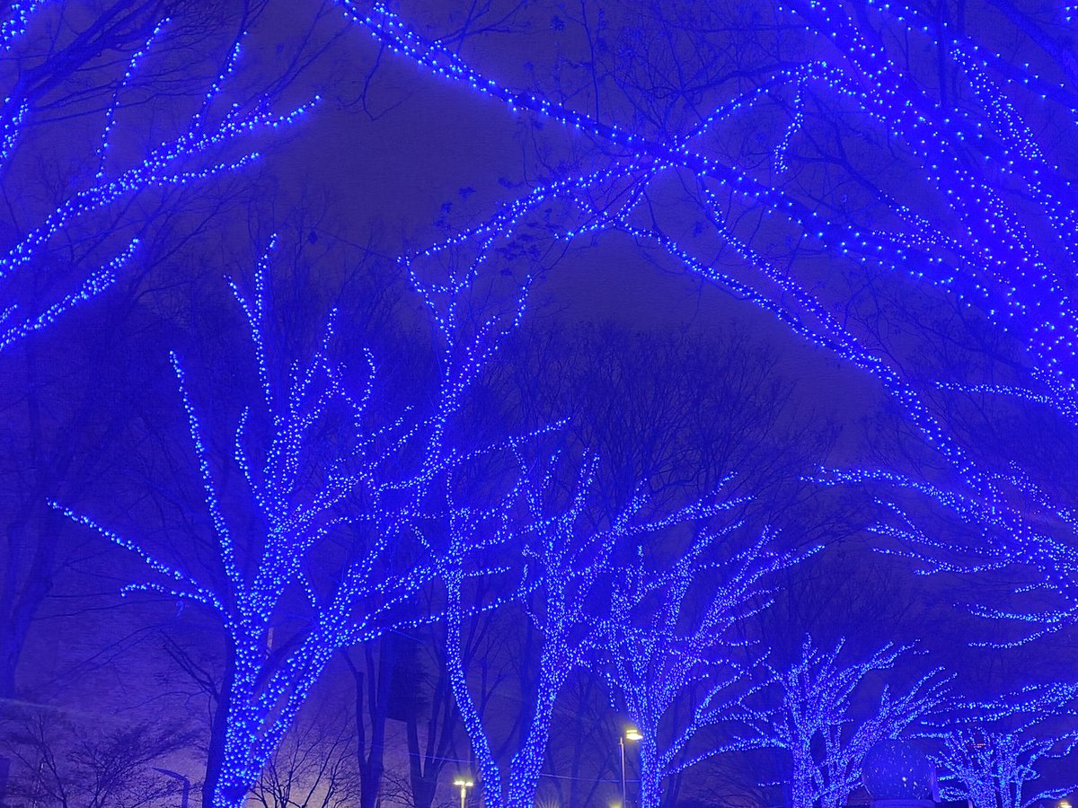 写真散歩記録｜代々木公園 青の洞窟｜mikoto