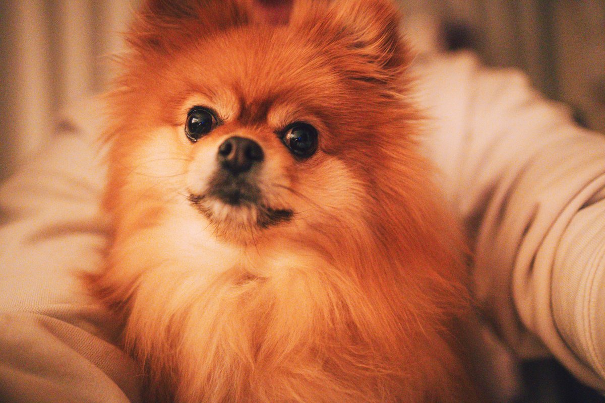 今年の振り返り｜fuu