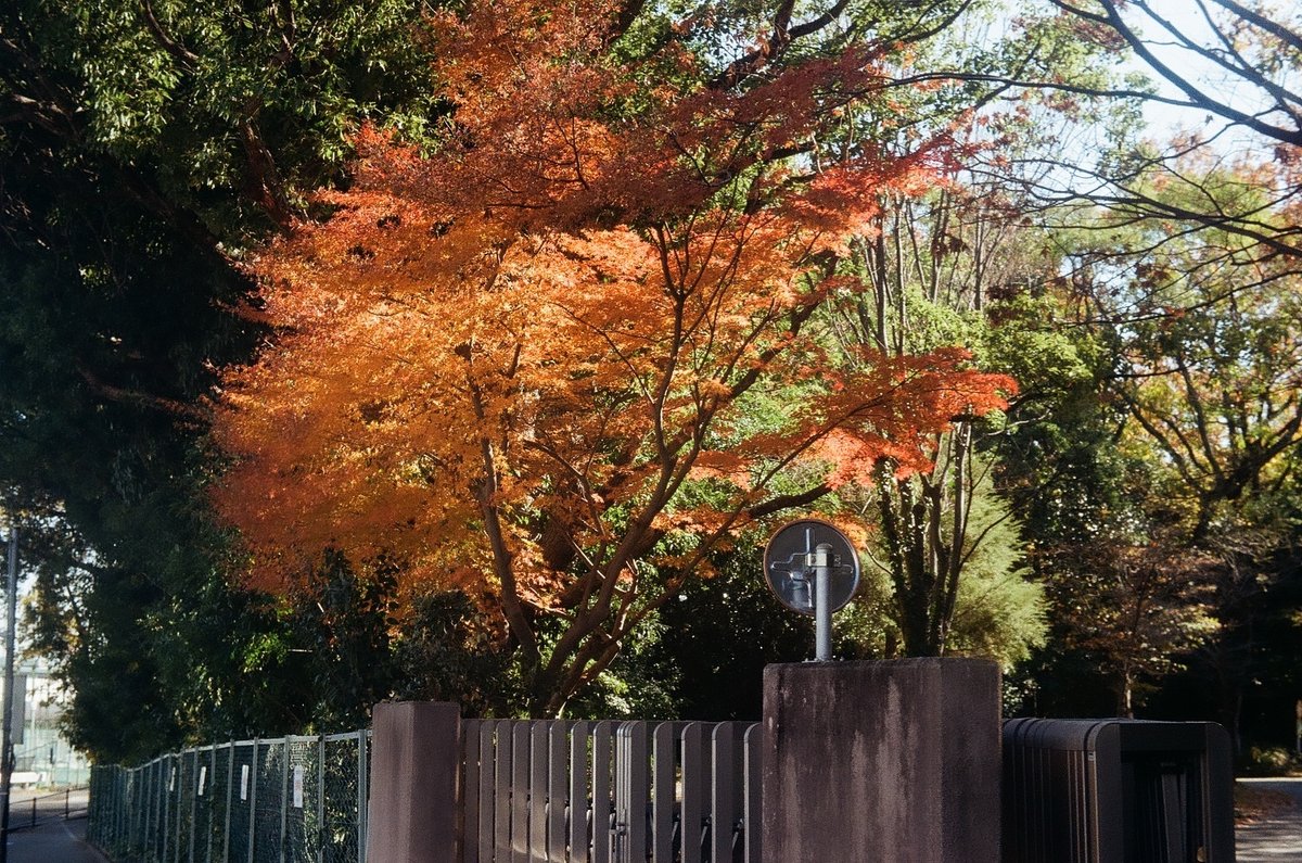 Note写真展：「フイルム」｜けん