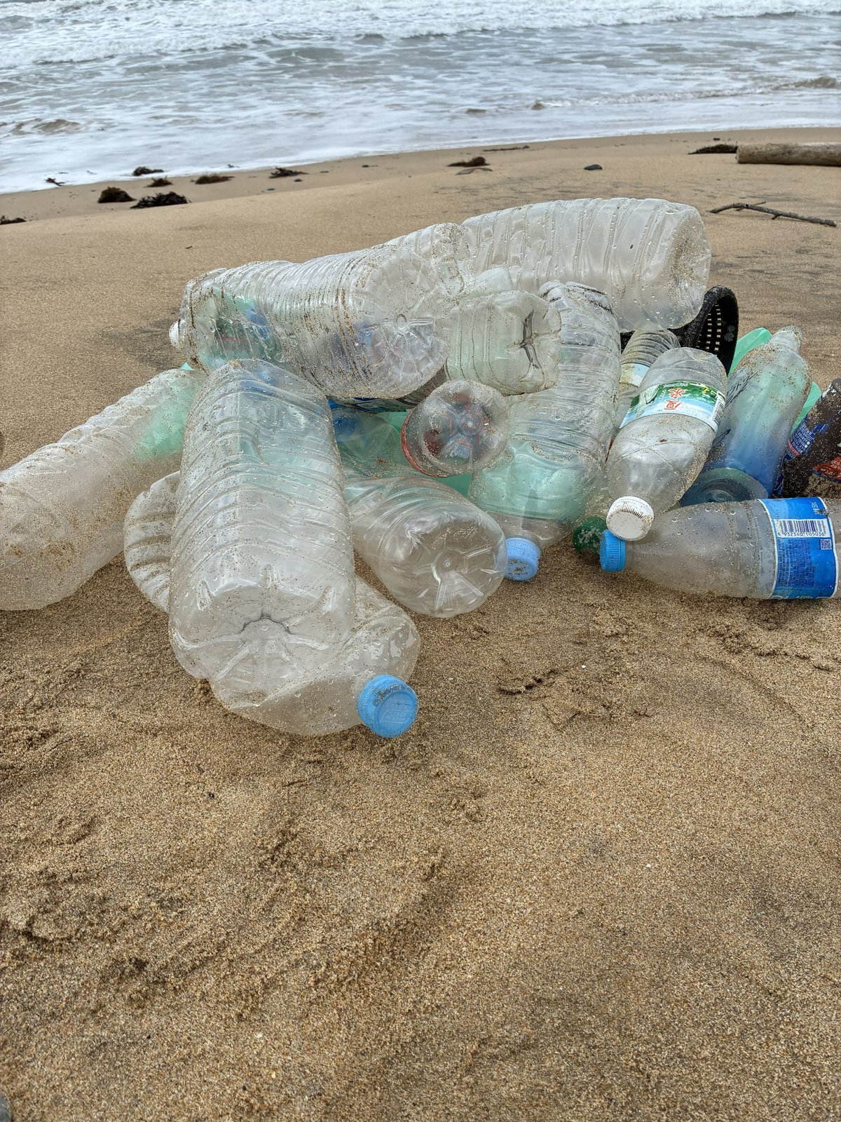 #86｜『岩屋海岸』ビーチクリーン活動35回目｜大津 敦史 AtsushiOtsu