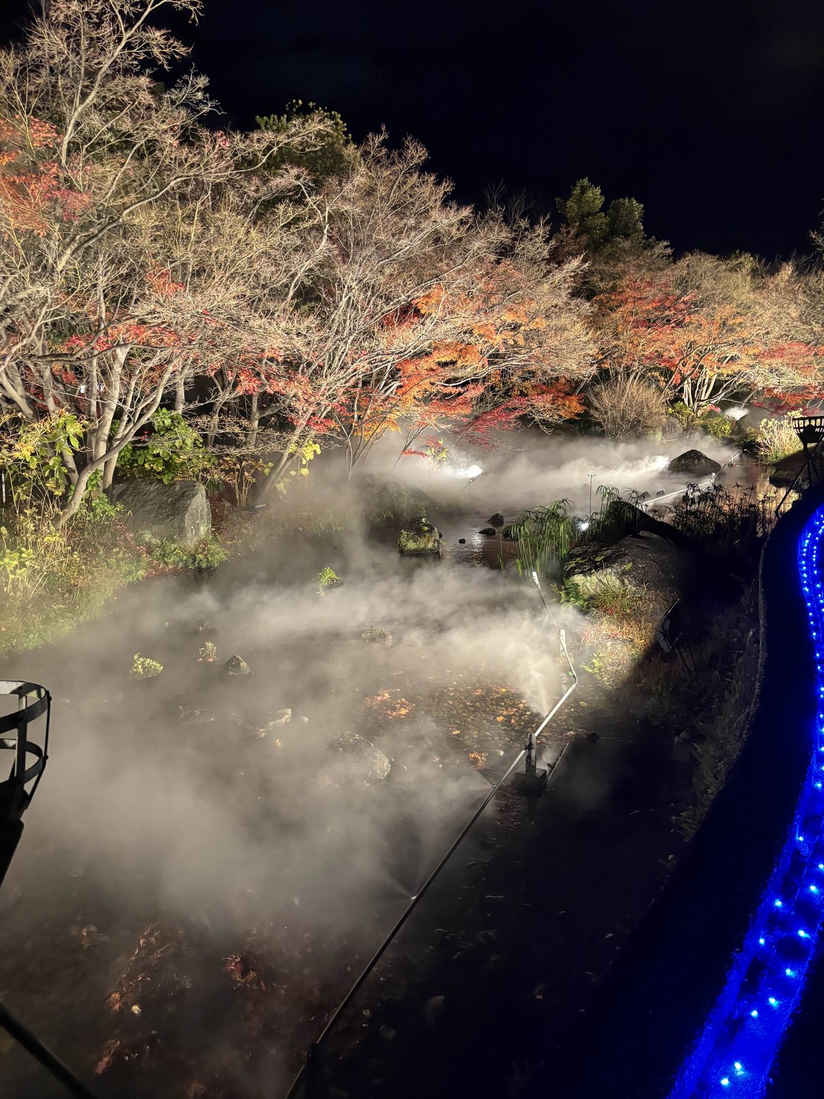 東海ではイルミネーションの代名詞―なばなの里 観光スポットレビュー｜Tea REX