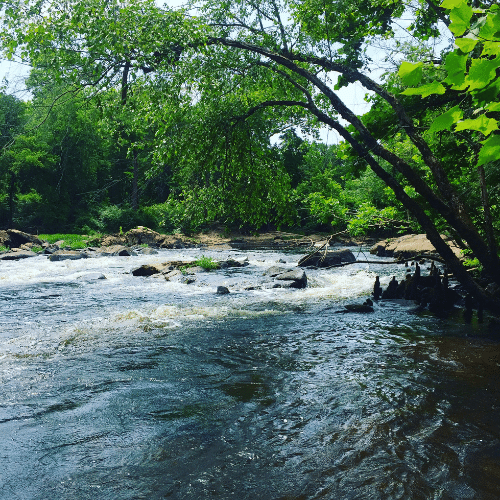 近所の川沿いで飲む缶ハイボールと、今年の「心を救った一冊」｜酔読倶楽部