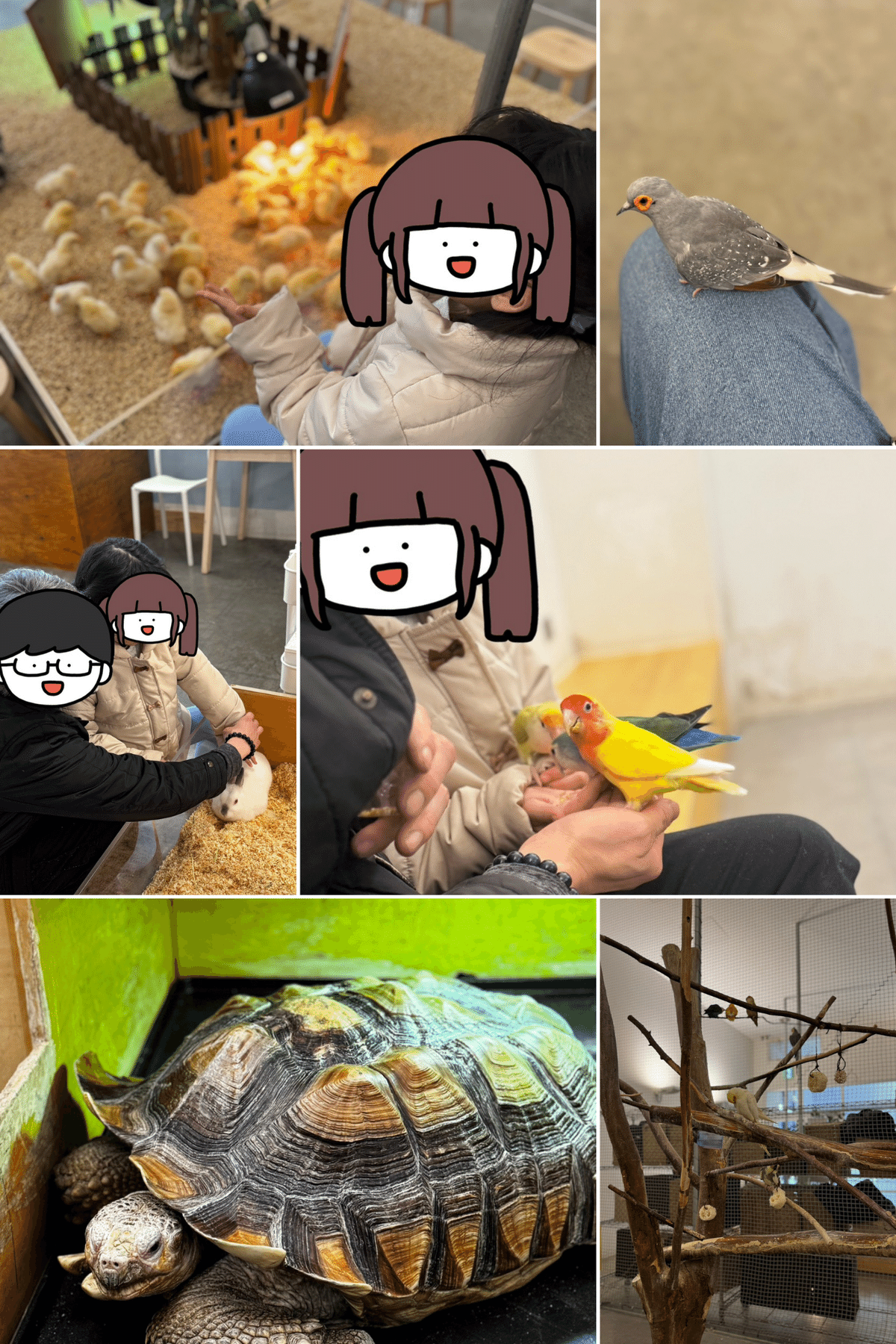 冬休み、近場で動物に癒された日｜イーアス高尾のアニマルカフェへ｜ペン吉@やさしさ伝えるKindle作家🐥