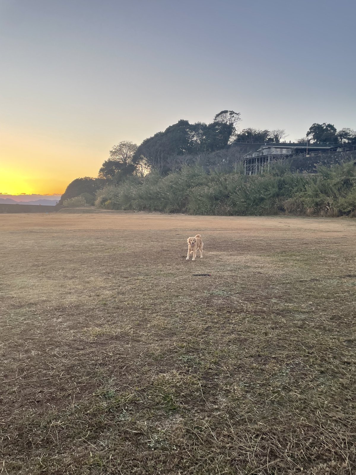 世界は、ひとは、美しさを止めない｜Yamamoto Market