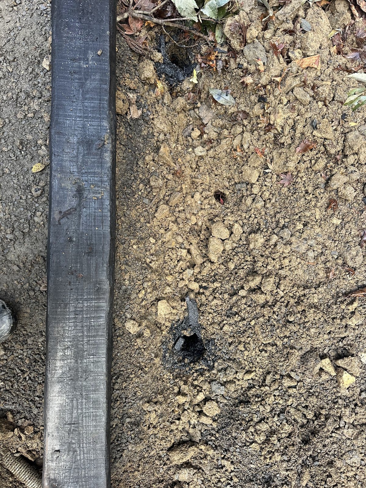 【庭屋息吹 施工記録】貴布禰総本宮 貴船神社 奥宮樹勢回復工事を行いました｜ゆかんこOSOTO