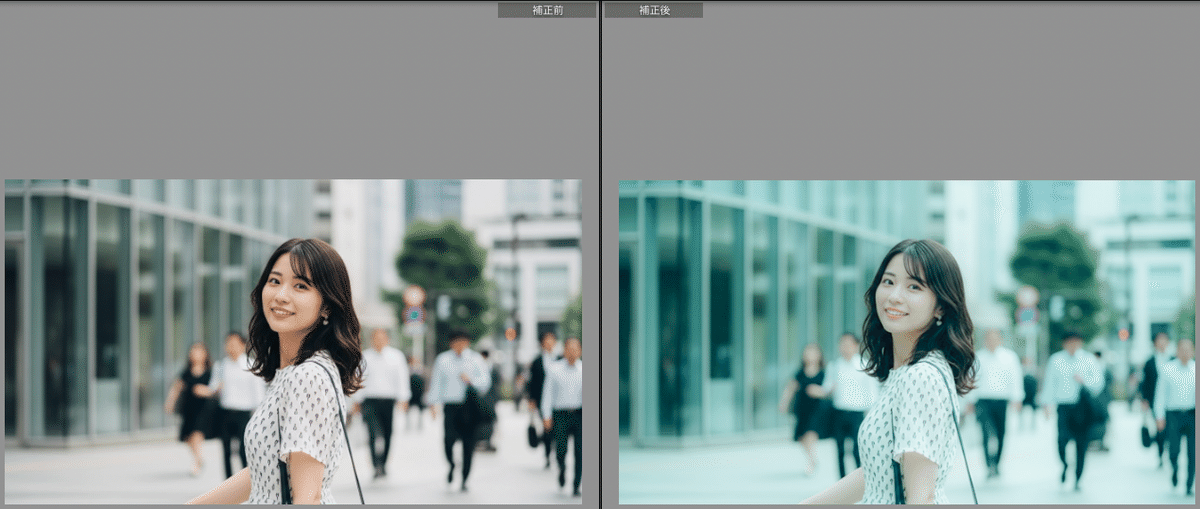 Mint Portra Preset Collection 10priset｜Pen+a