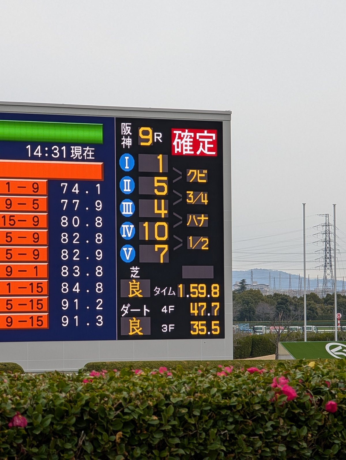 還暦前に踏み出した自分らしい生き方～2025年の特別な想い出～｜板谷かつみ（ファルコンおやじ）