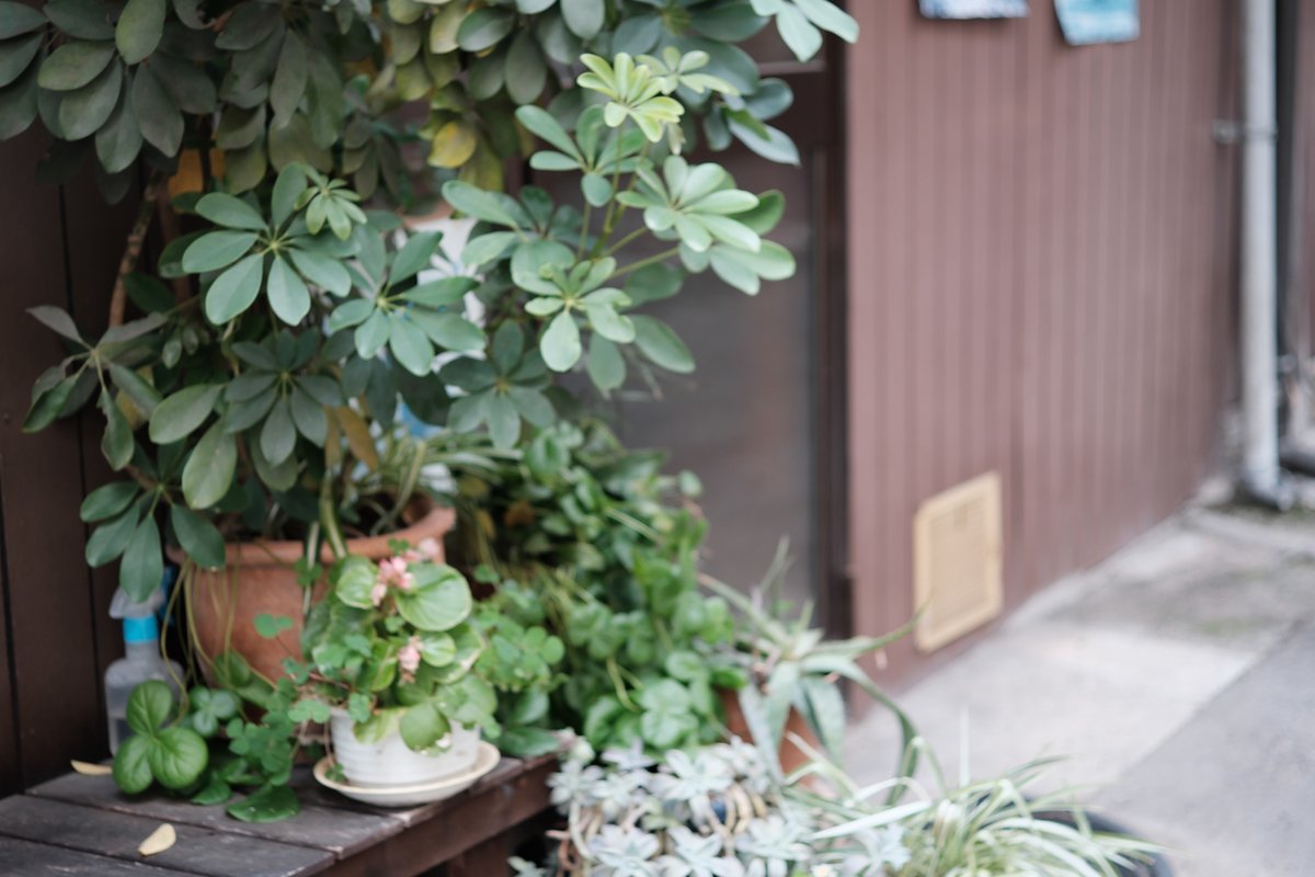 [旅の話] 旅行にカウントする夫実家への帰省記録ーオールドレンズで撮る尾道編ー｜柊木 志音 (hiraki shion)