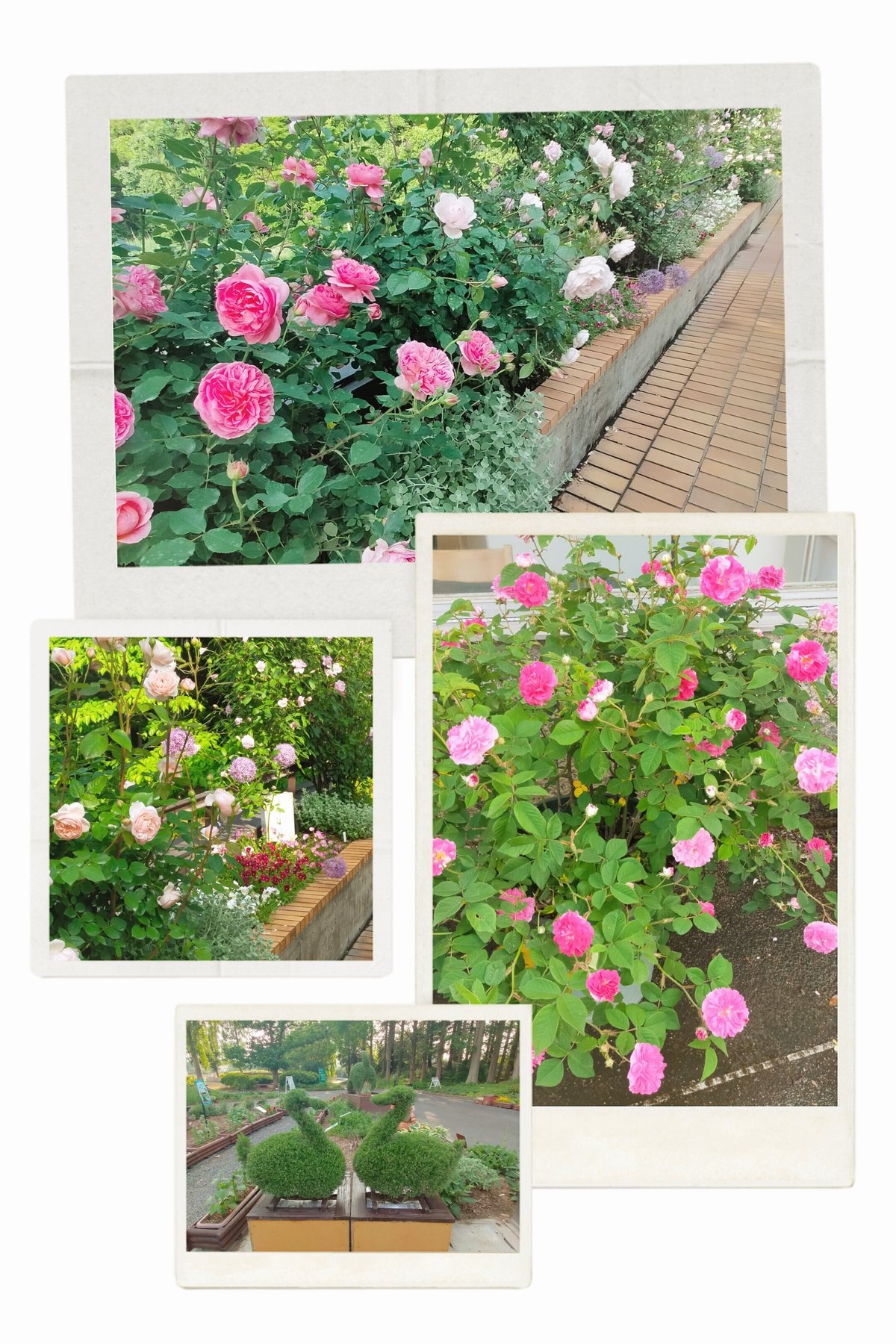 2025年 私の「エクリチュール」は、新たな形で2026年へ｜恵実（めぐみ）