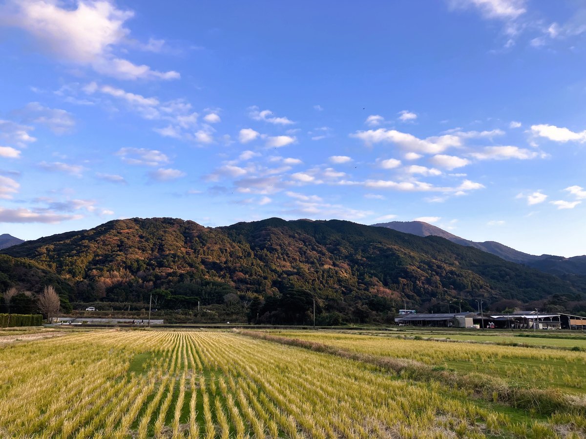 12/29 馬鹿は馬鹿面｜南里 秀子